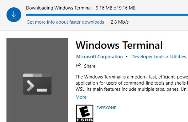 Como instalar o Terminal Windows no Windows 10