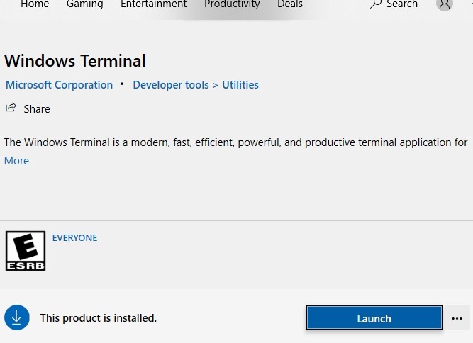 Como instalar o Terminal Windows no Windows 10