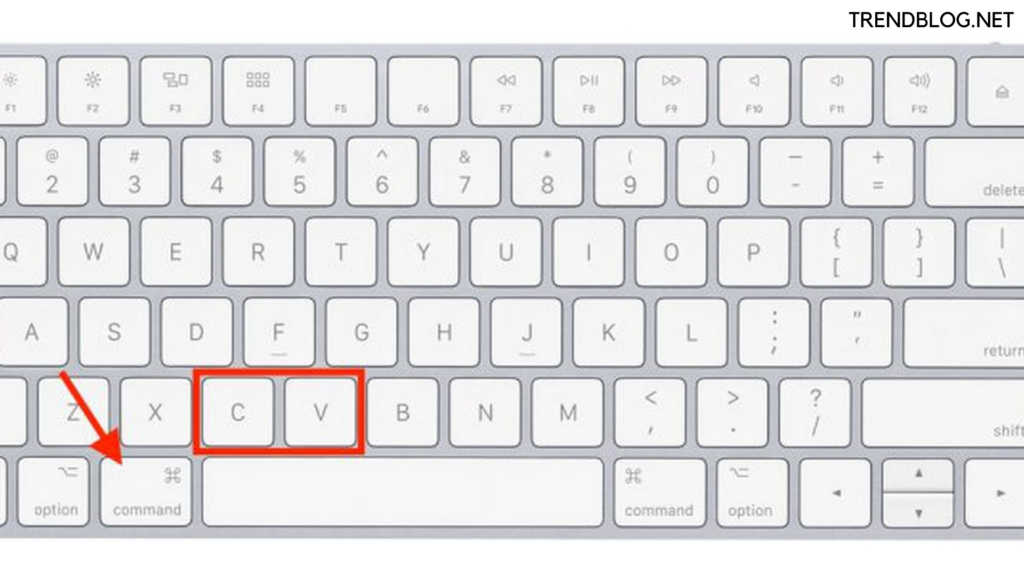 Como colar em um Mac com 5 métodos diferentes atualizados