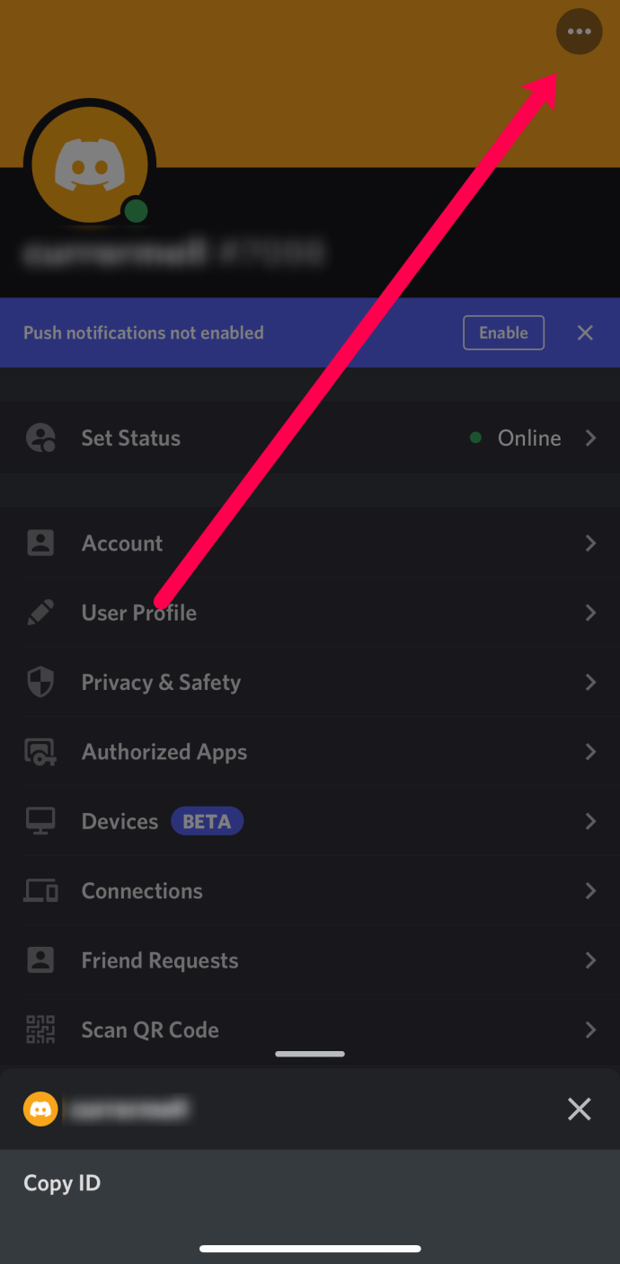 Como encontrar um ID de usuário do Discord